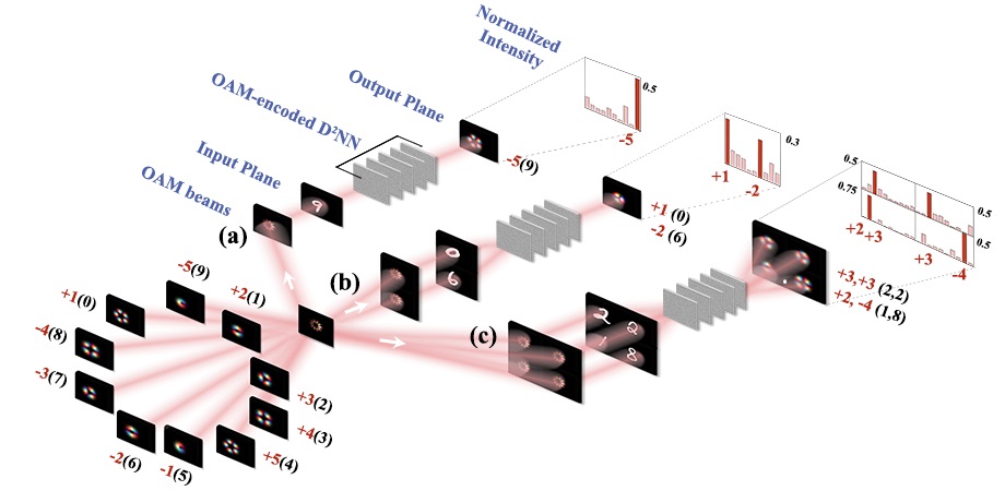 Orbital-angular-momentum-encoded diffractive networks for object ... Orbital-angular-momentum-encoded diffractive networks for object ...